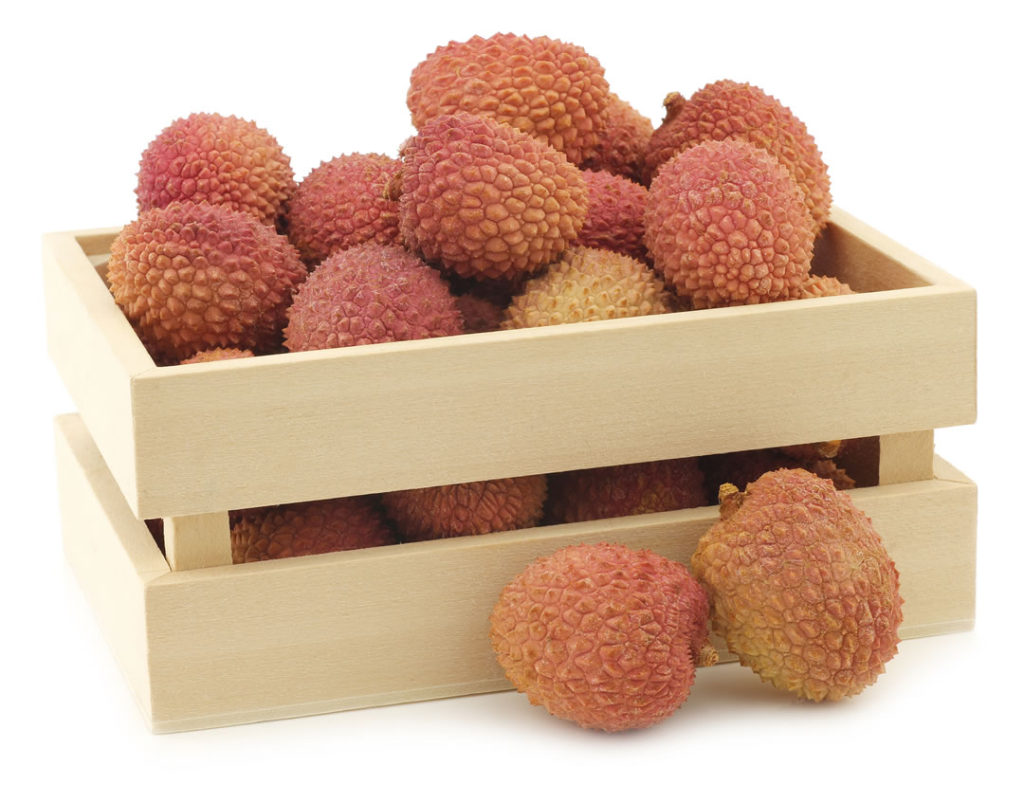 Lychees (carton) - Pinnacle Hill Lychees
